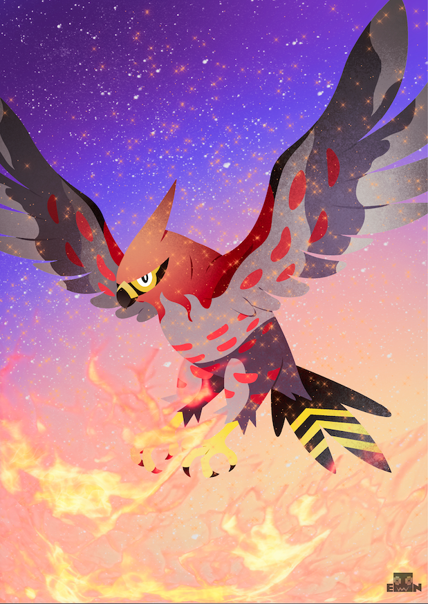 Talonflame Wallpaper