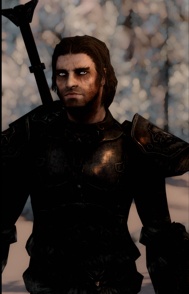 Skyrim Farkas And Vilkas