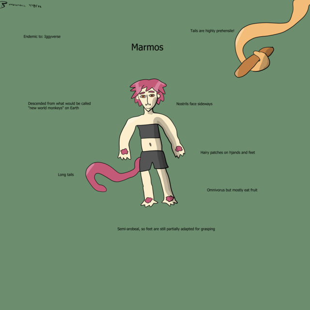 Monkey Girl Tf Sequence