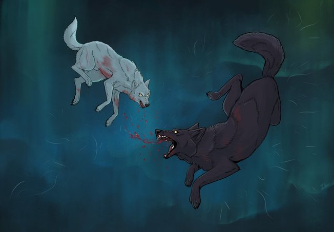 Anime Wolves Fighting Each Other